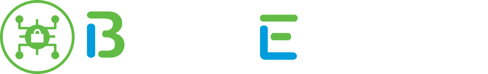 Bytes Encrypt Pvt. Ltd.